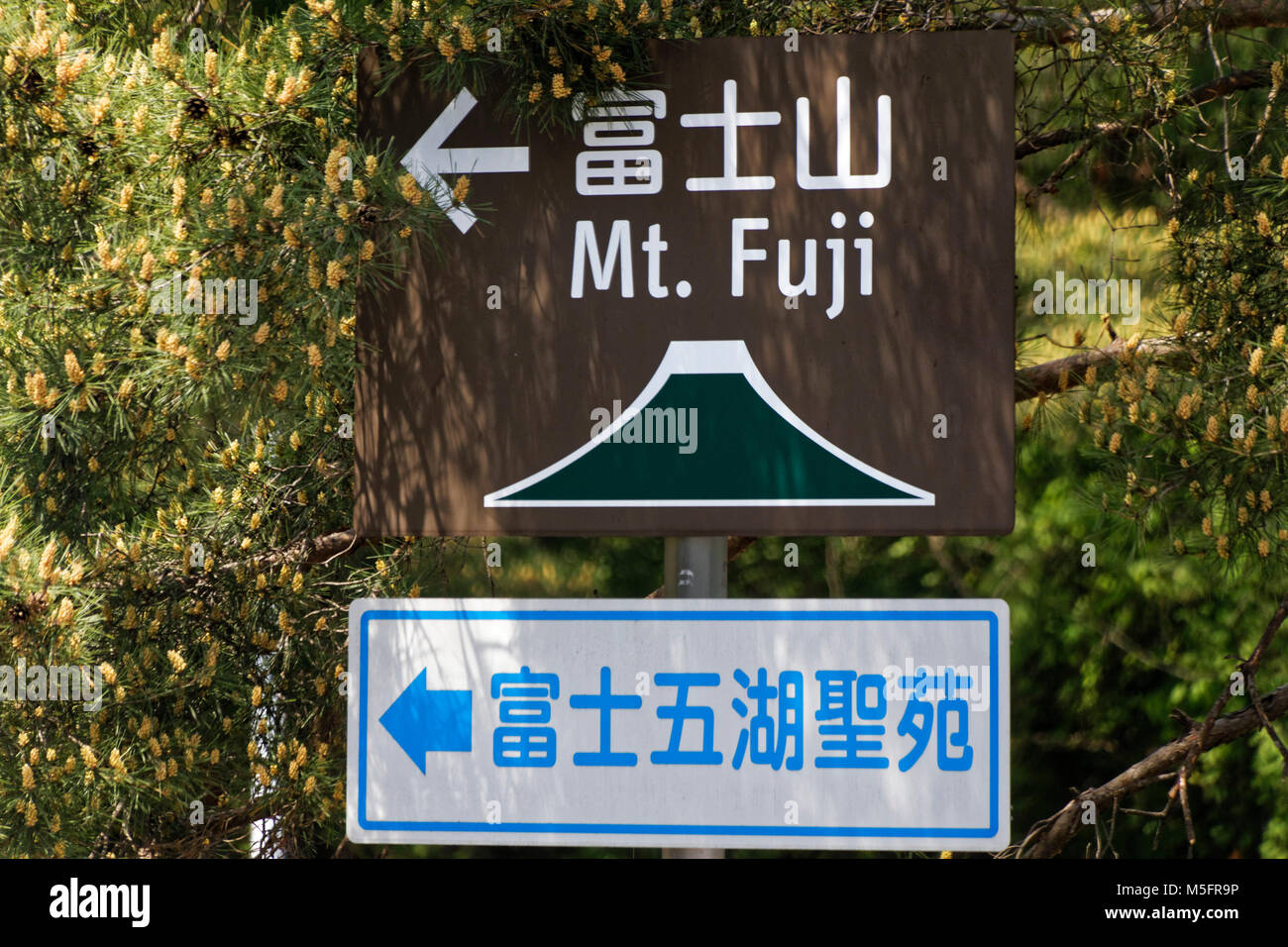 Fujisan a mountain hi-res stock photography and images - Alamy