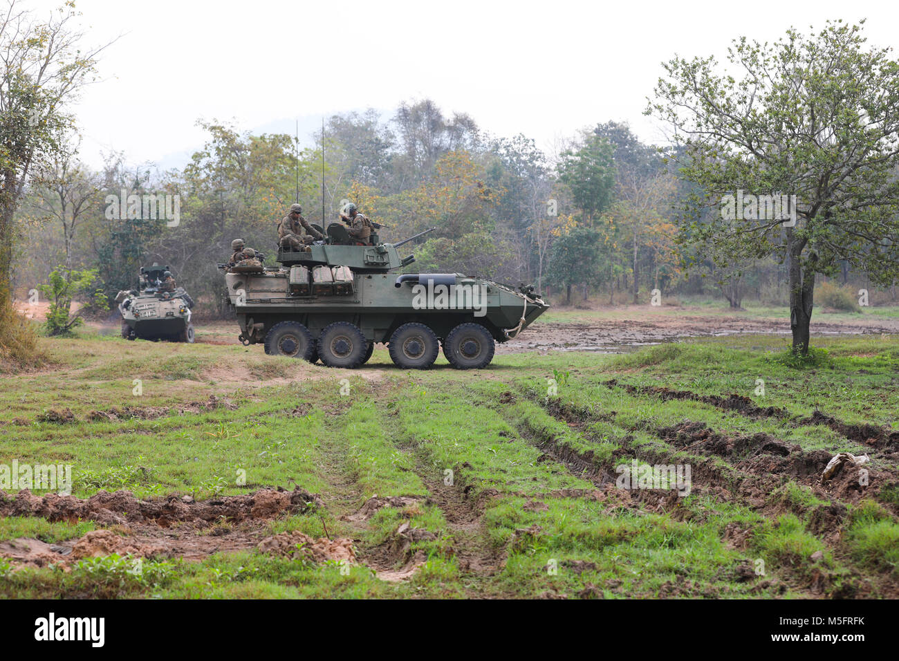 U.S. Marines with with Alpha Company, 3rd Light Armored Reconnaissance ...