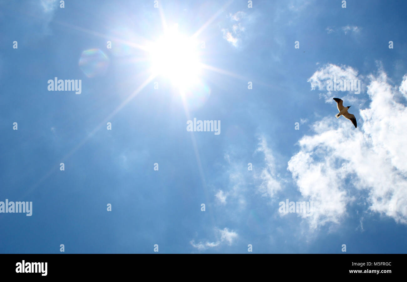 Corpus christi beach hi-res stock photography and images - Alamy