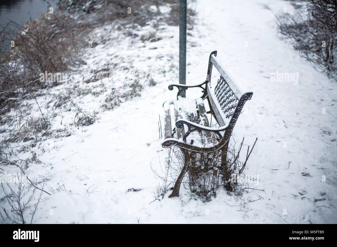 Alone in snow stands hi-res stock photography and images - Alamy