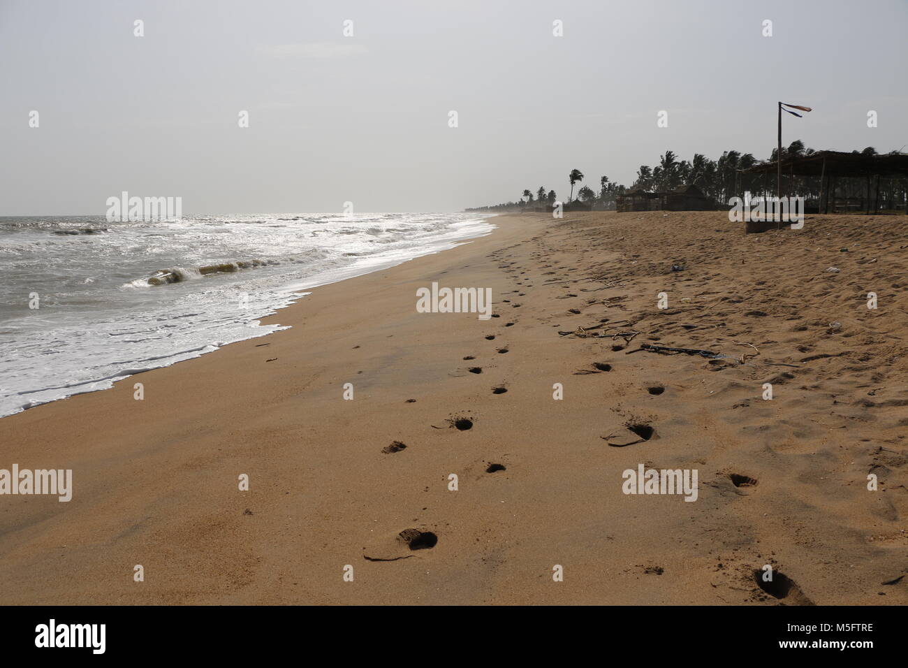 Beach in Benin with palm trees, wide beaches, fishermens houses, beach ...