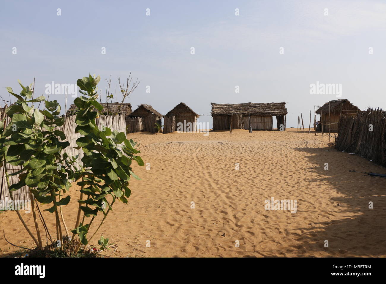Beach in Benin with palm trees, wide beaches, fishermens houses, beach ...