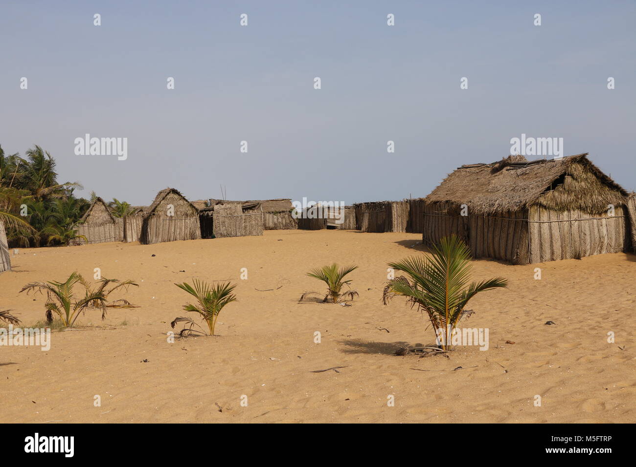 Beach in Benin with palm trees, wide beaches, fishermens houses, beach ...