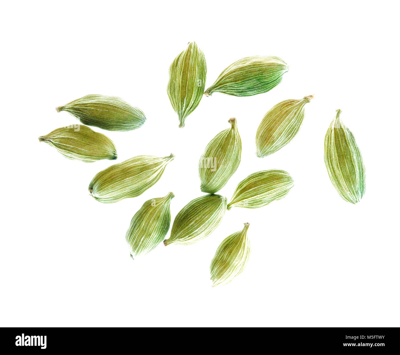 Isolate cardamom, a closeup photo image of group of cardamom pods ...