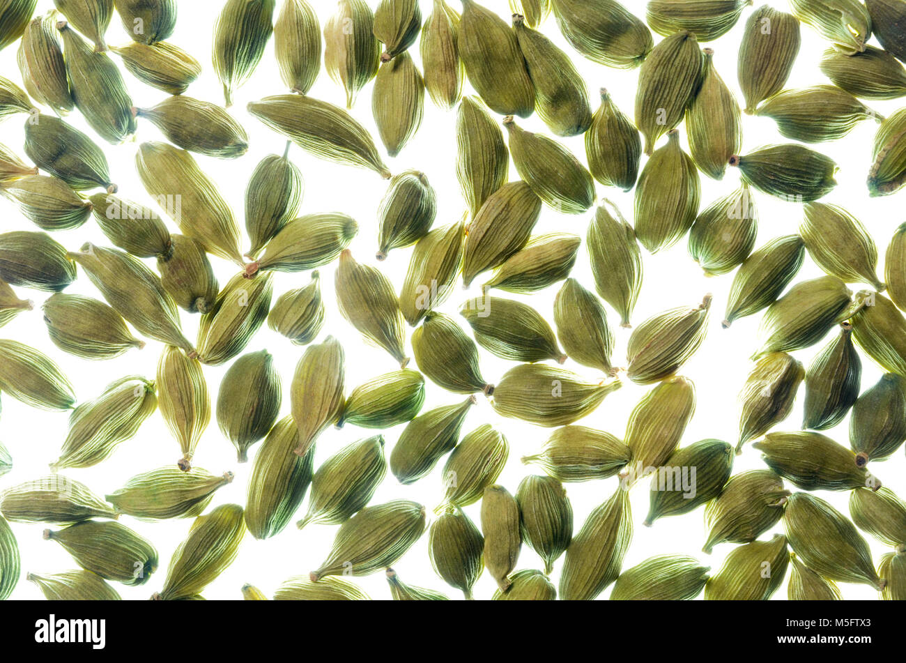 Cardamom pods pattern, a closeup photo image of dried green cardamom ...