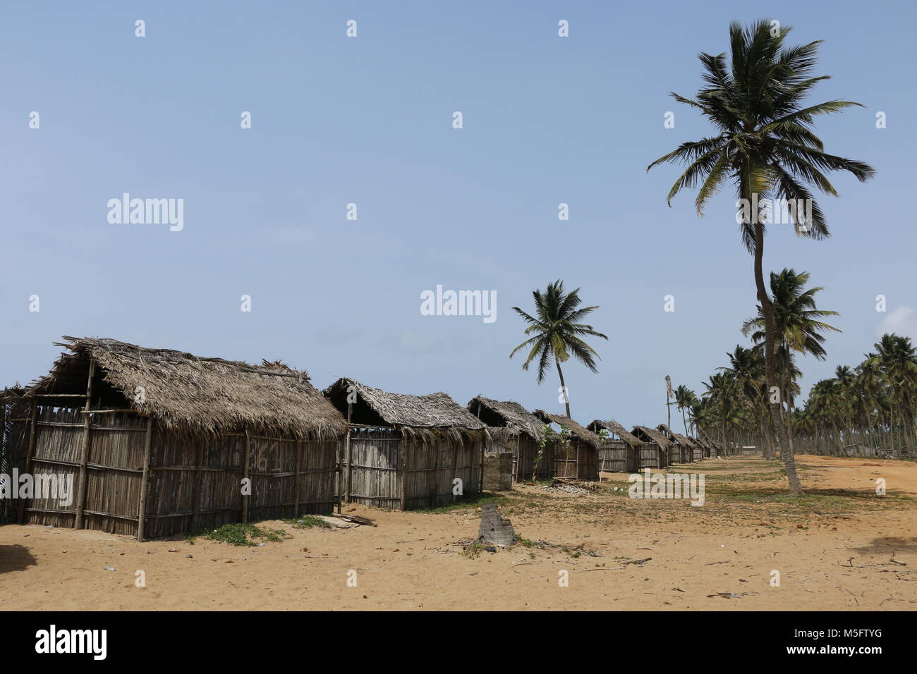 Beach in Benin with palm trees, wide beaches, fishermens houses, beach ...