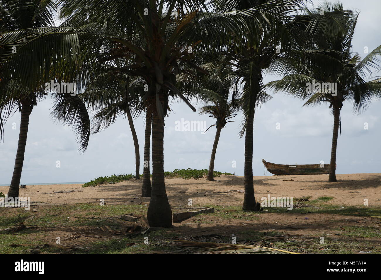 Beach in Benin with palm trees, wide beaches, fishermens houses, beach ...