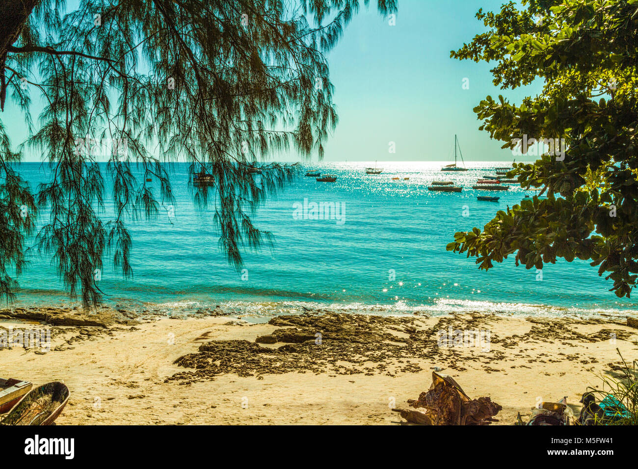 Zanzibar Landscape High Resolution Stock Photography and Images - Alamy