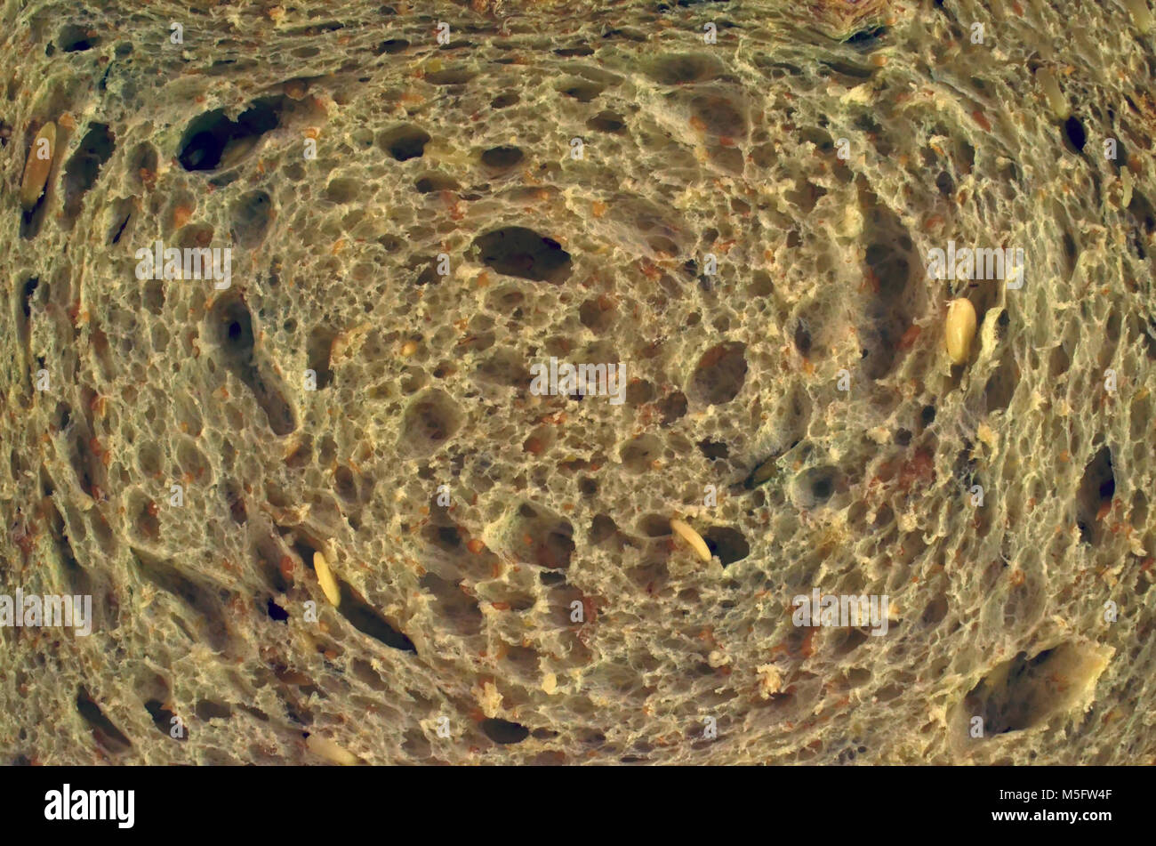 Cereal bread texture, top view closeup photo on a slice surface of ...