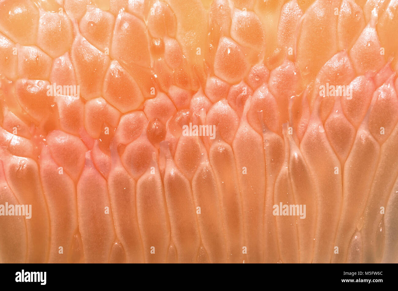 Fresh peeled pink pomelo meat texture and pattern, a close up photo ...