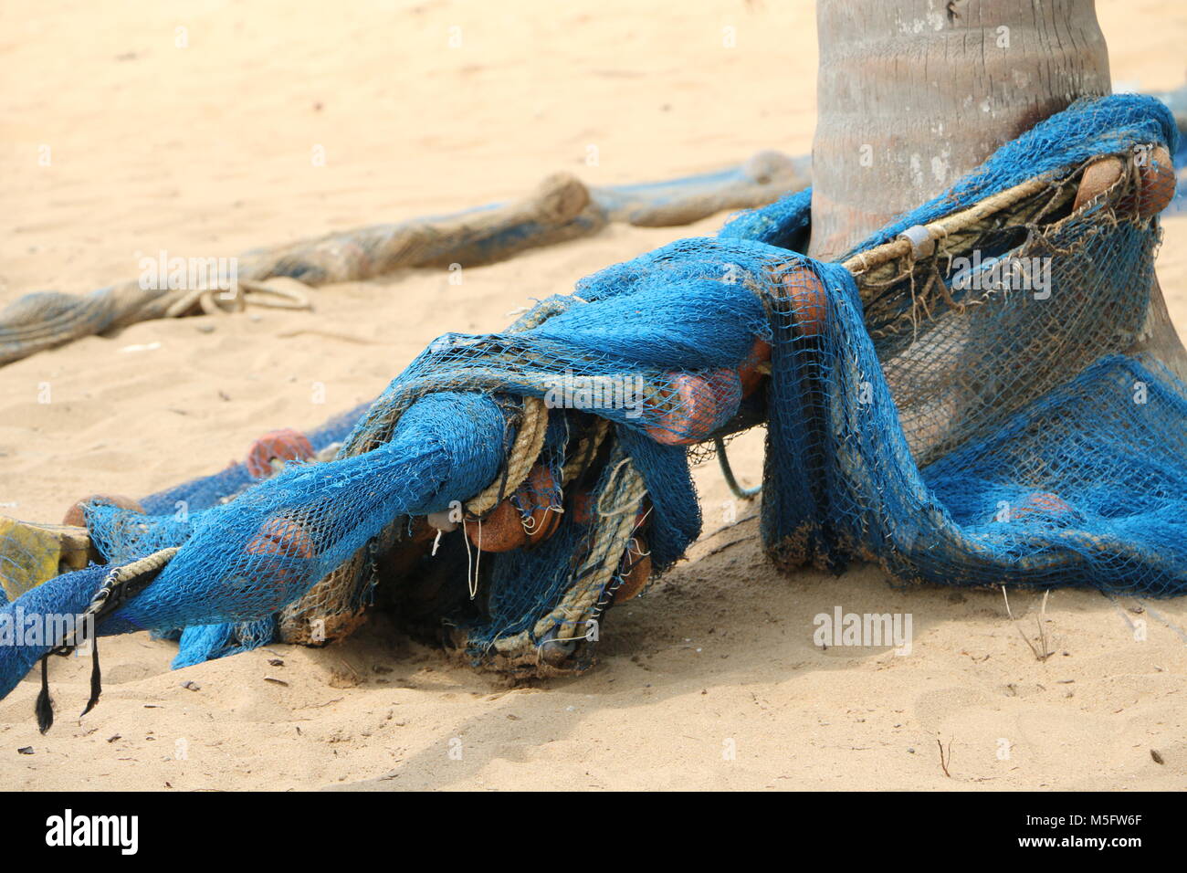 Fishing net tied on a tree Stock Photo - Alamy