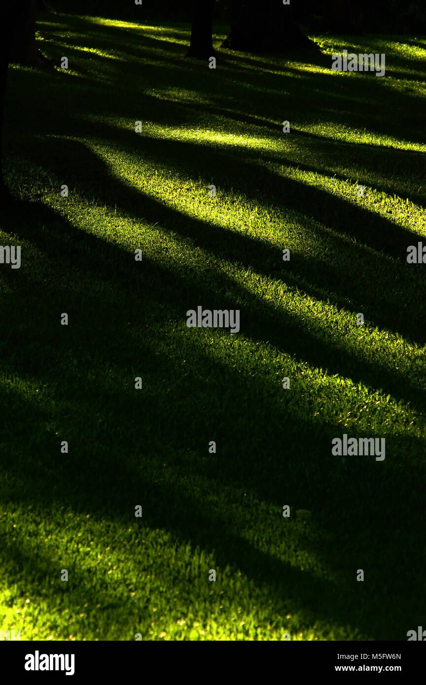 Light and shadow pattern, a select focus photo of pattern of sunlight ...