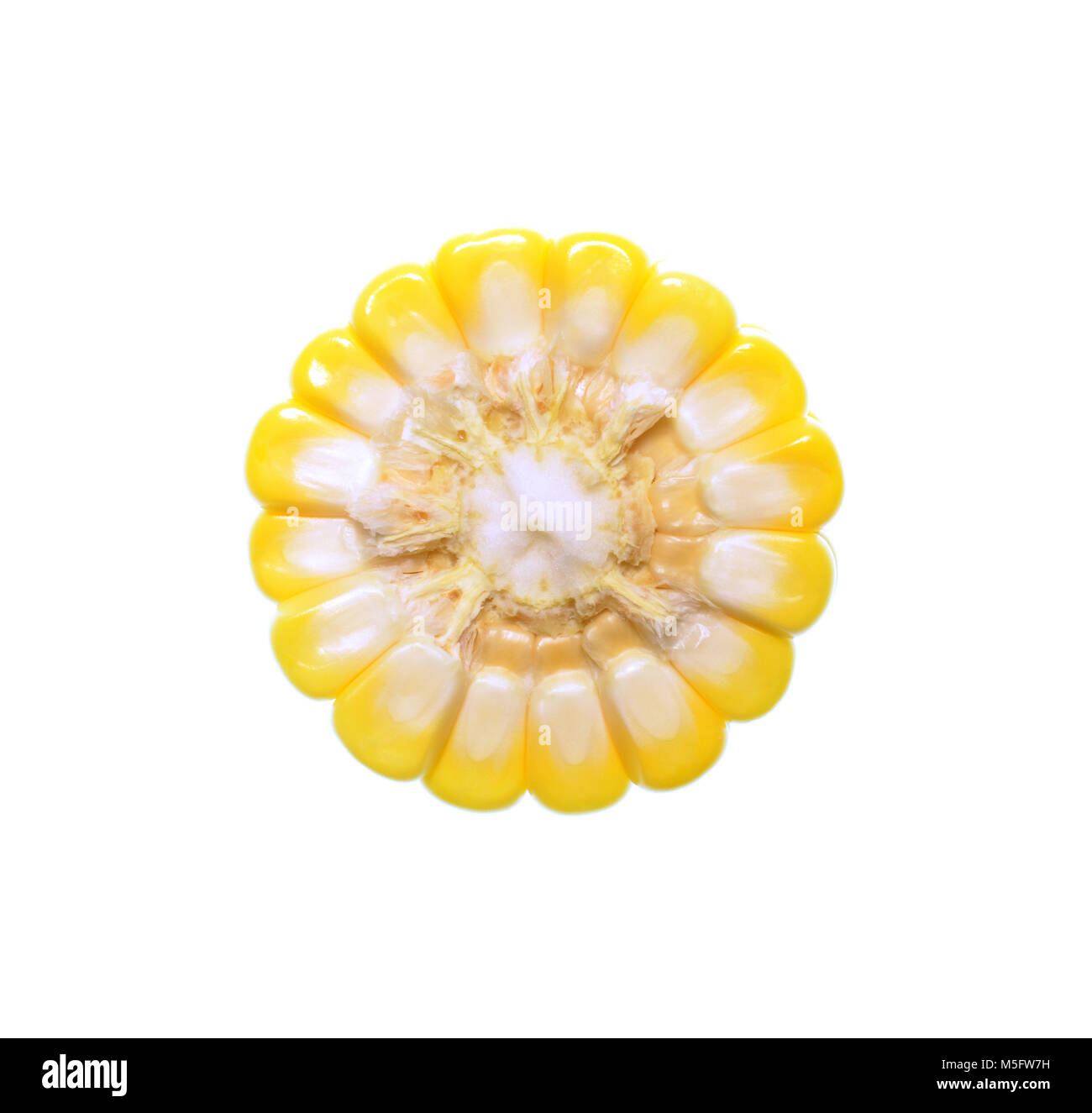 Isolated sweetcorn, top view closeup photo of corn that connect with a ...