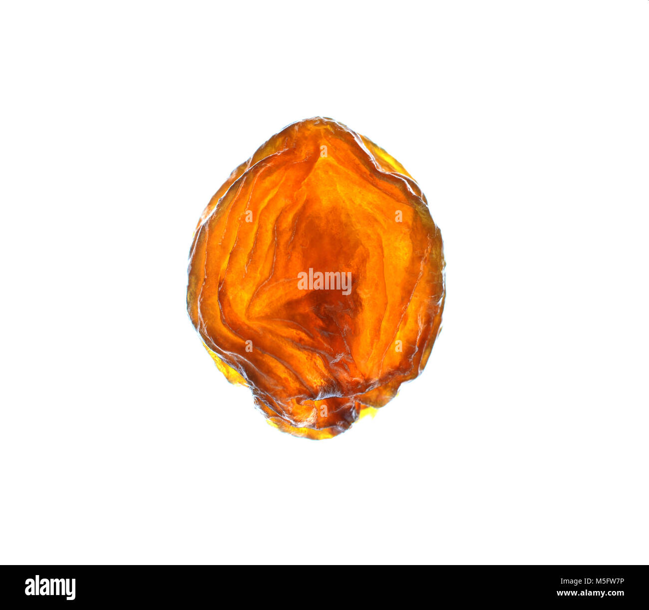 Isolate brown raisin, a close up photo image of brown raisin isolate on ...