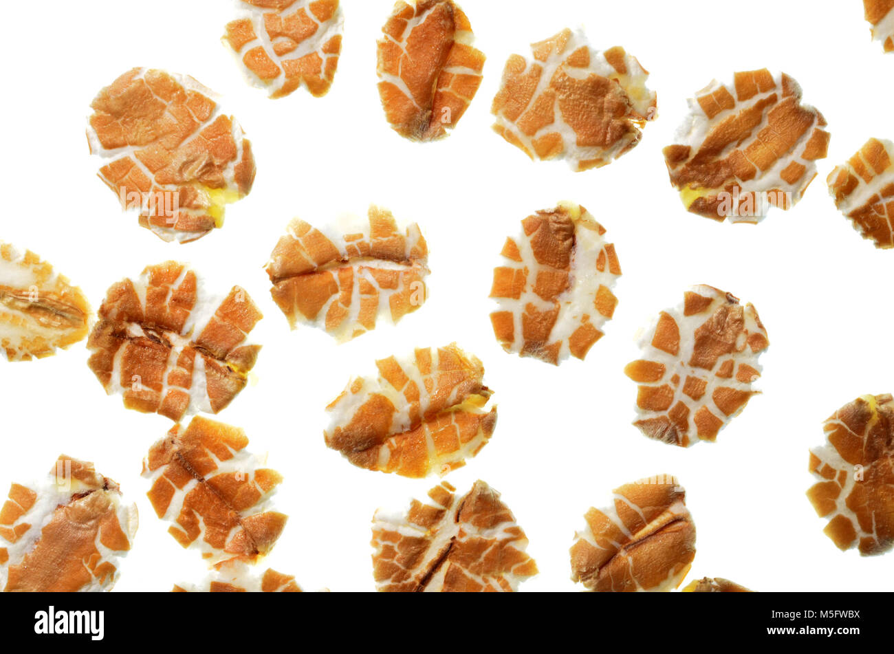 Rye flakes pattern and texture, a close up photo image of rye flakes ...