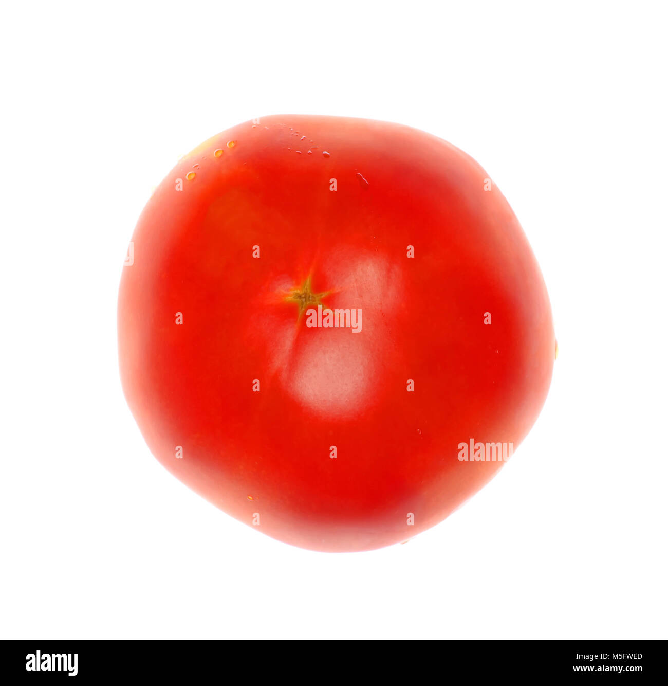 Isolate red fresh tomato, a close up photo image on bottom side of red ...