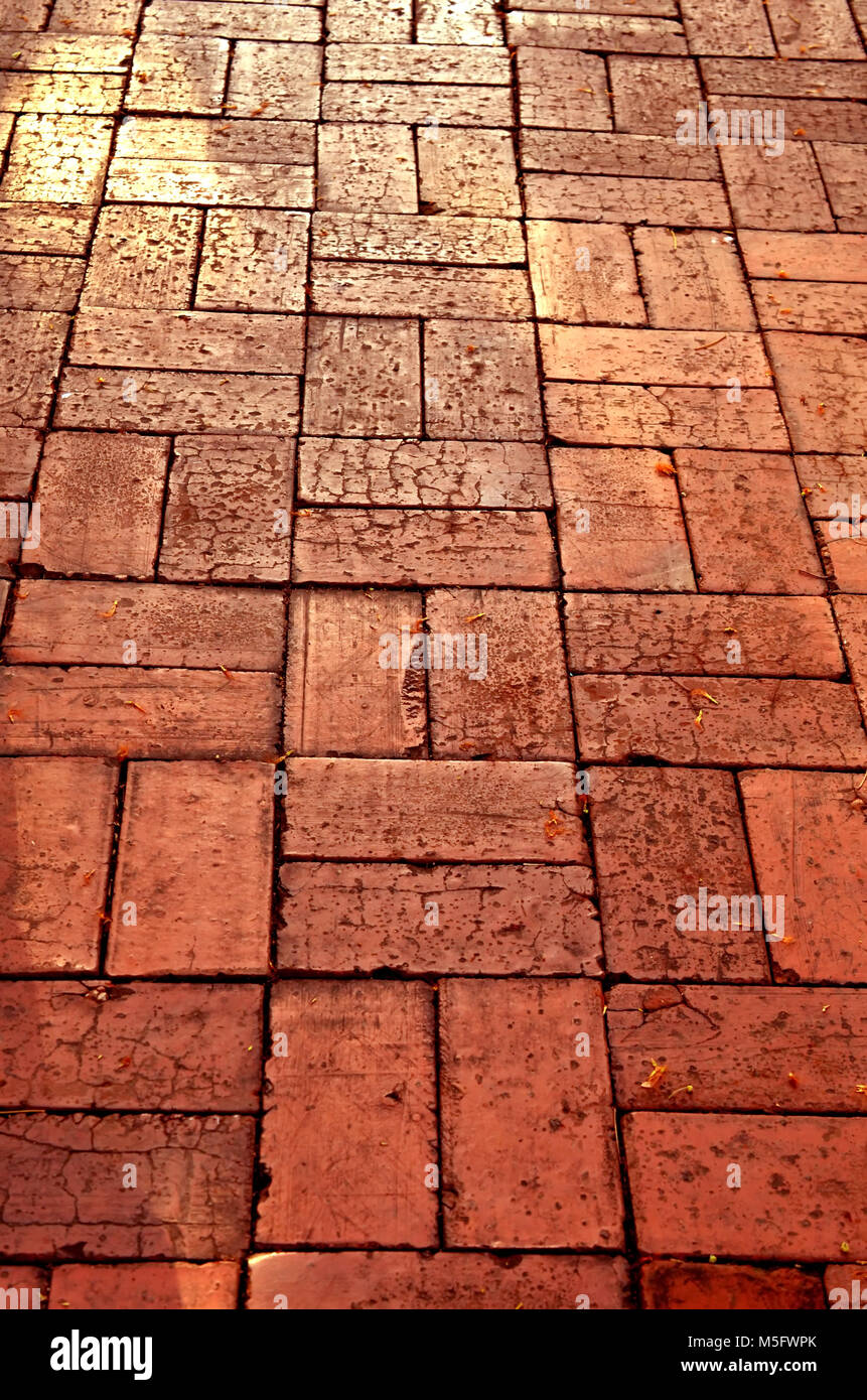 Brick pavement, a select focus on an old pavement that pave by ...