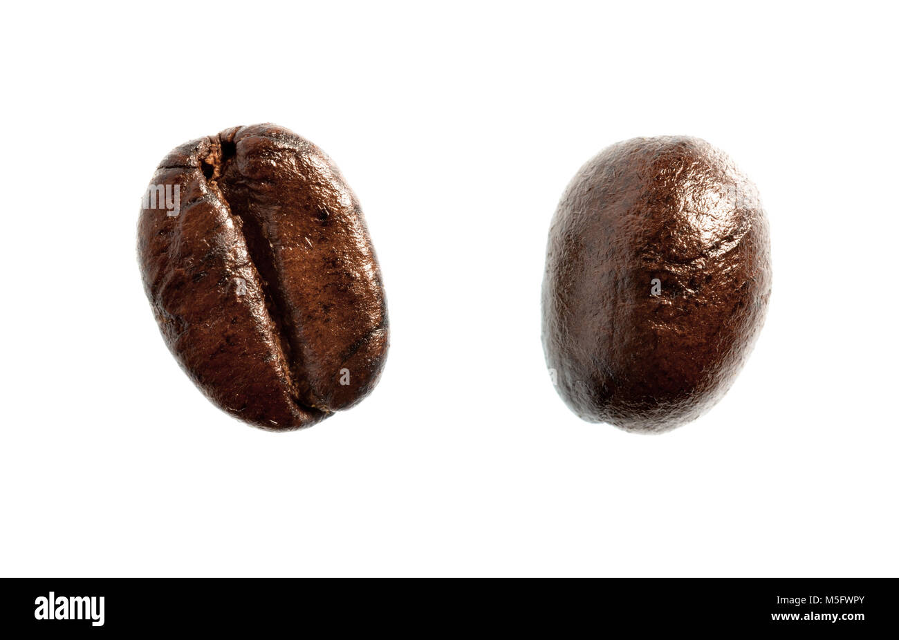 Single Coffee Bean Png