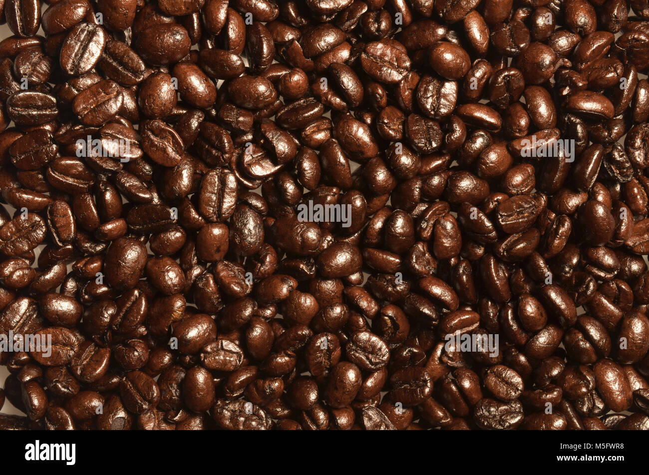 Top view closeup photo of dark roasted coffee beans on dark roasted ...