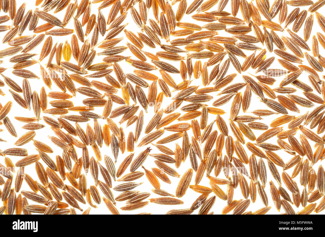 Cumin/jeera grains, cumin/jeera seeds,a top view closeup photo on a ...