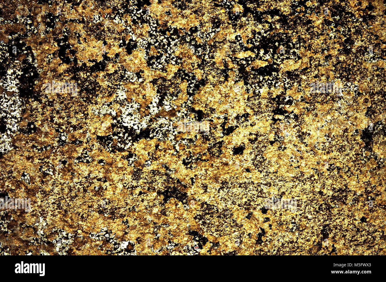 Patchy pattern hi-res stock photography and images - Alamy