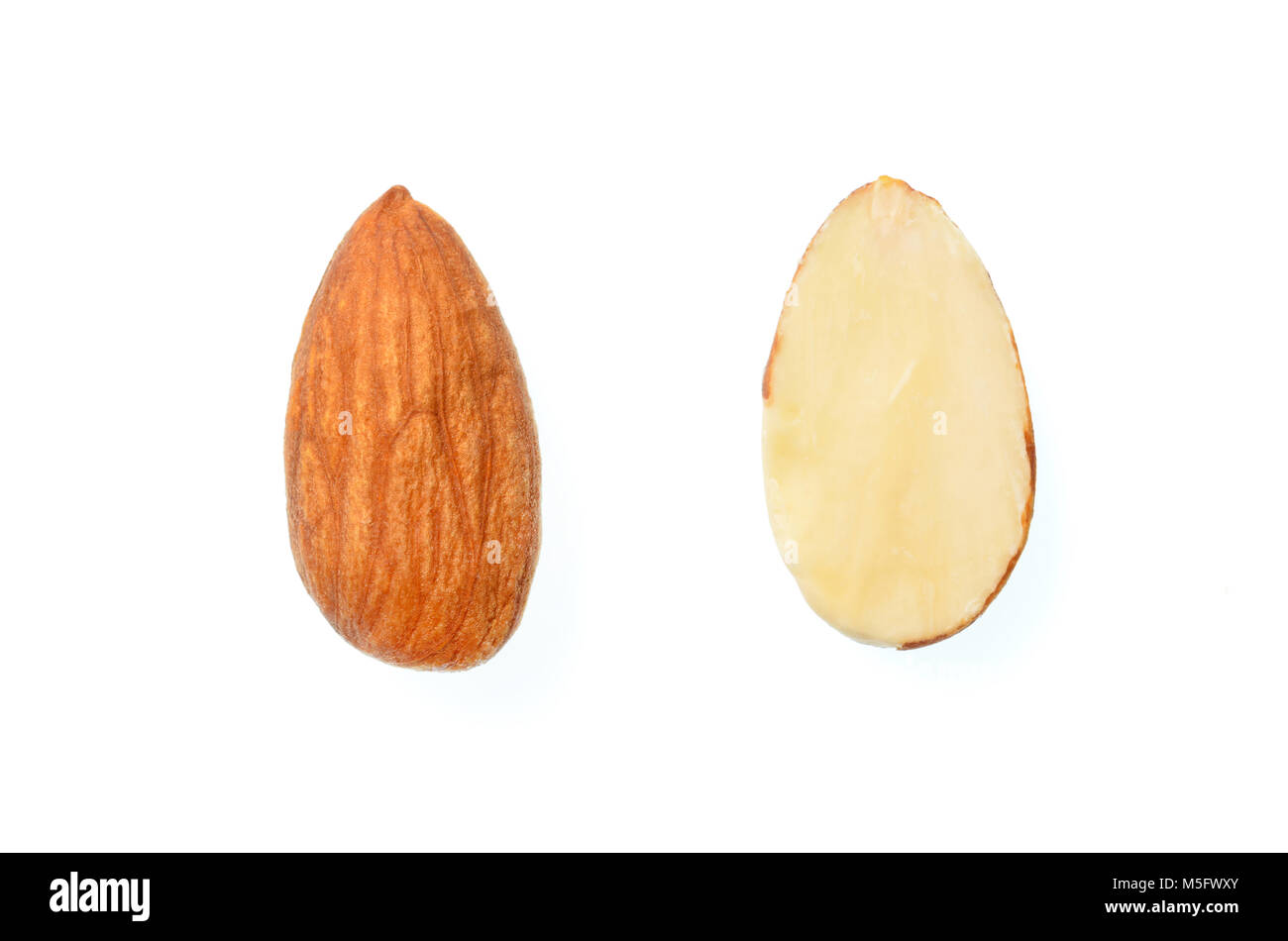 Isolated almond nut, top view closeup photo of full seed with half ...