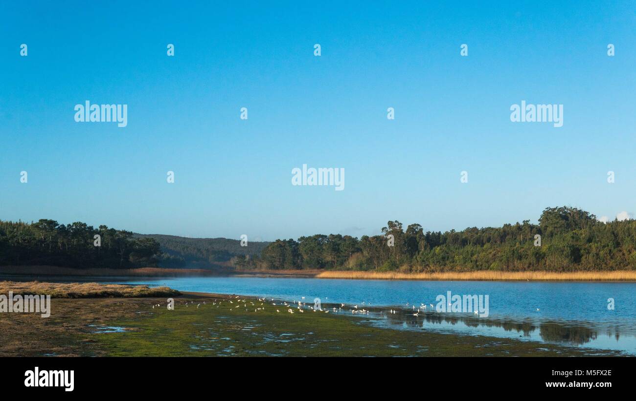 Landscape in Portugal Stock Photo - Alamy
