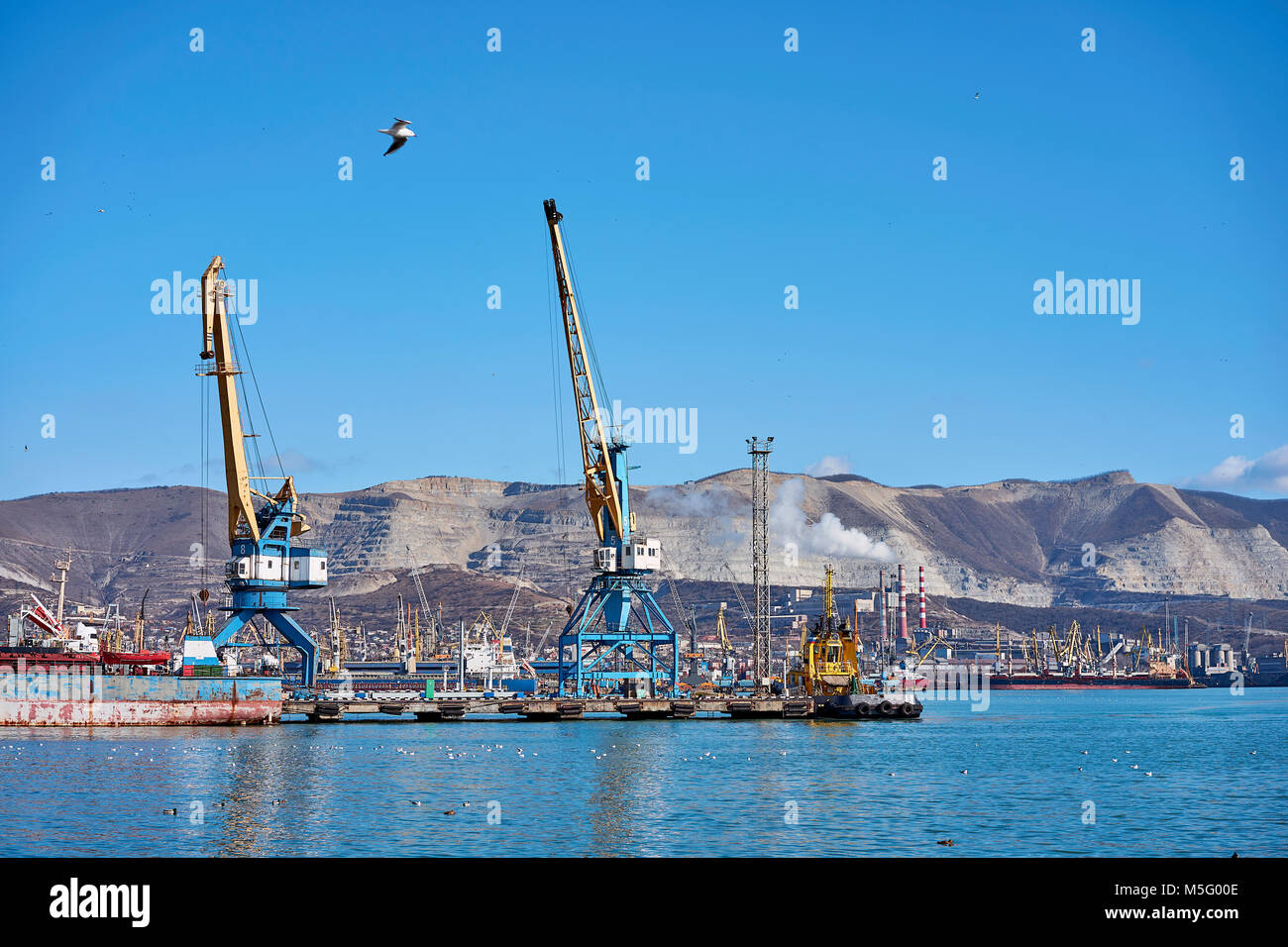 ships at the commercial sea port Stock Photo - Alamy