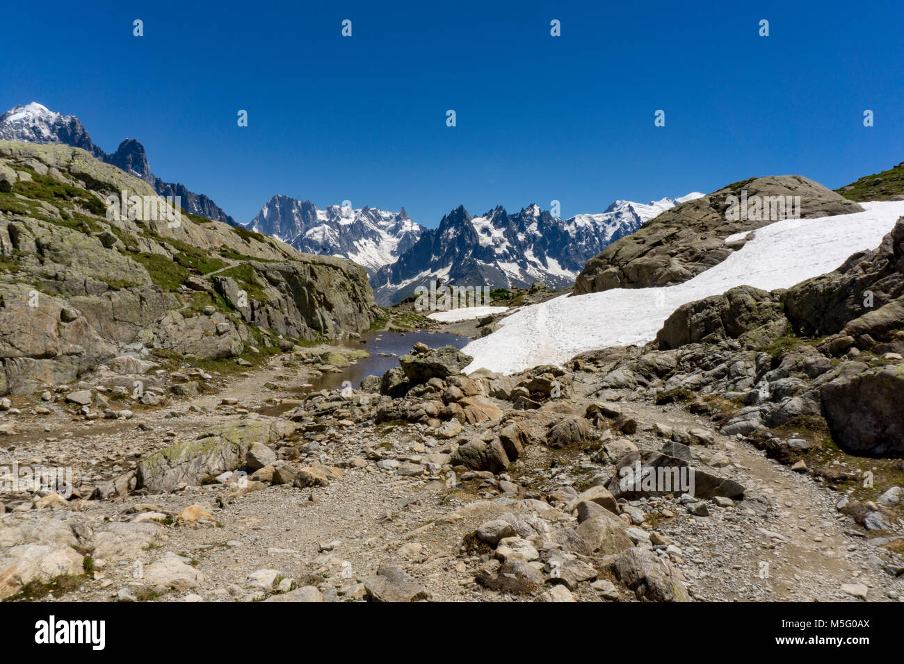 Alps in june view hi-res stock photography and images - Alamy