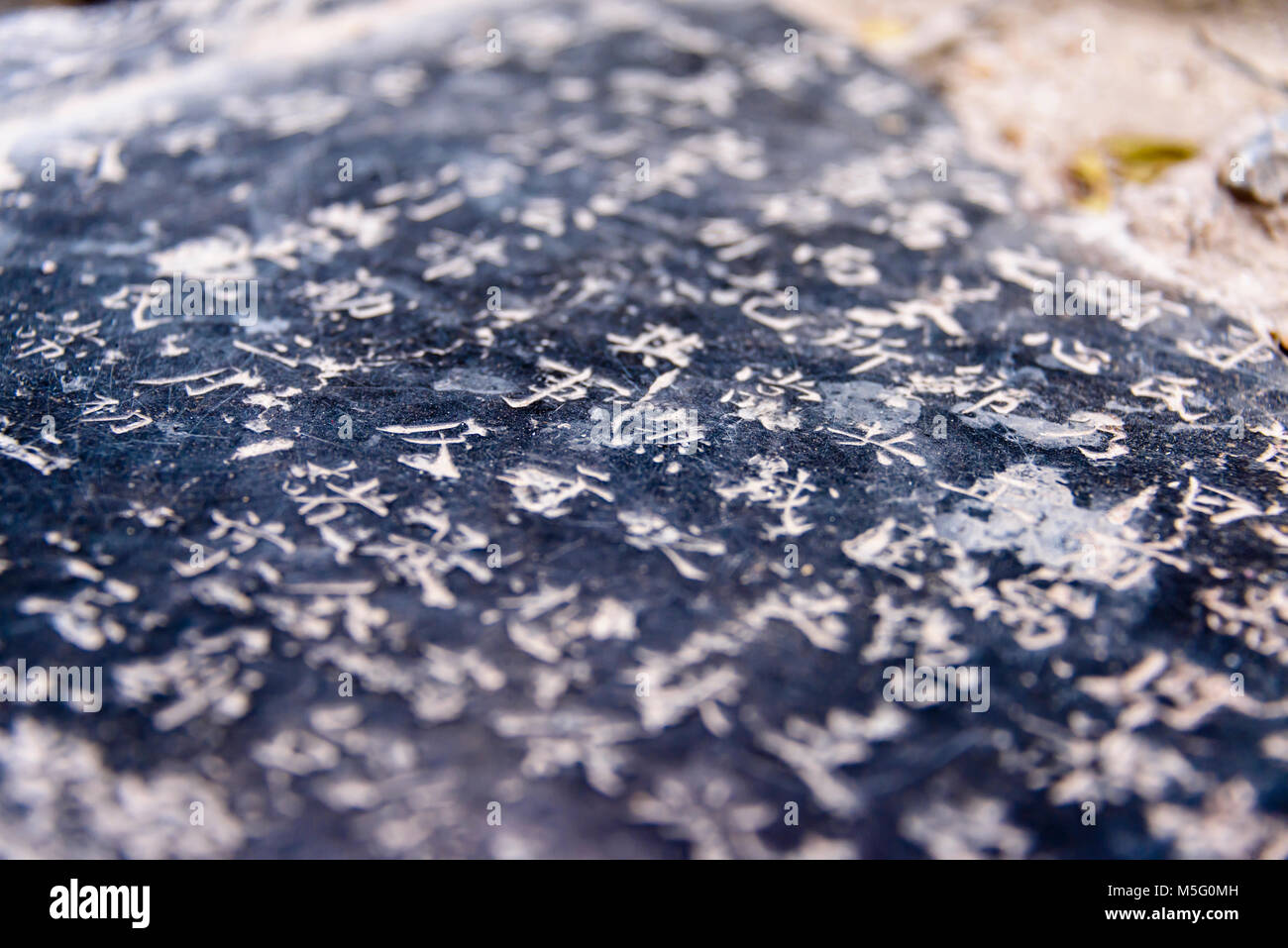 Chinese inscriptions on a stone tablet outside Den Ngoc Son Confucious ...