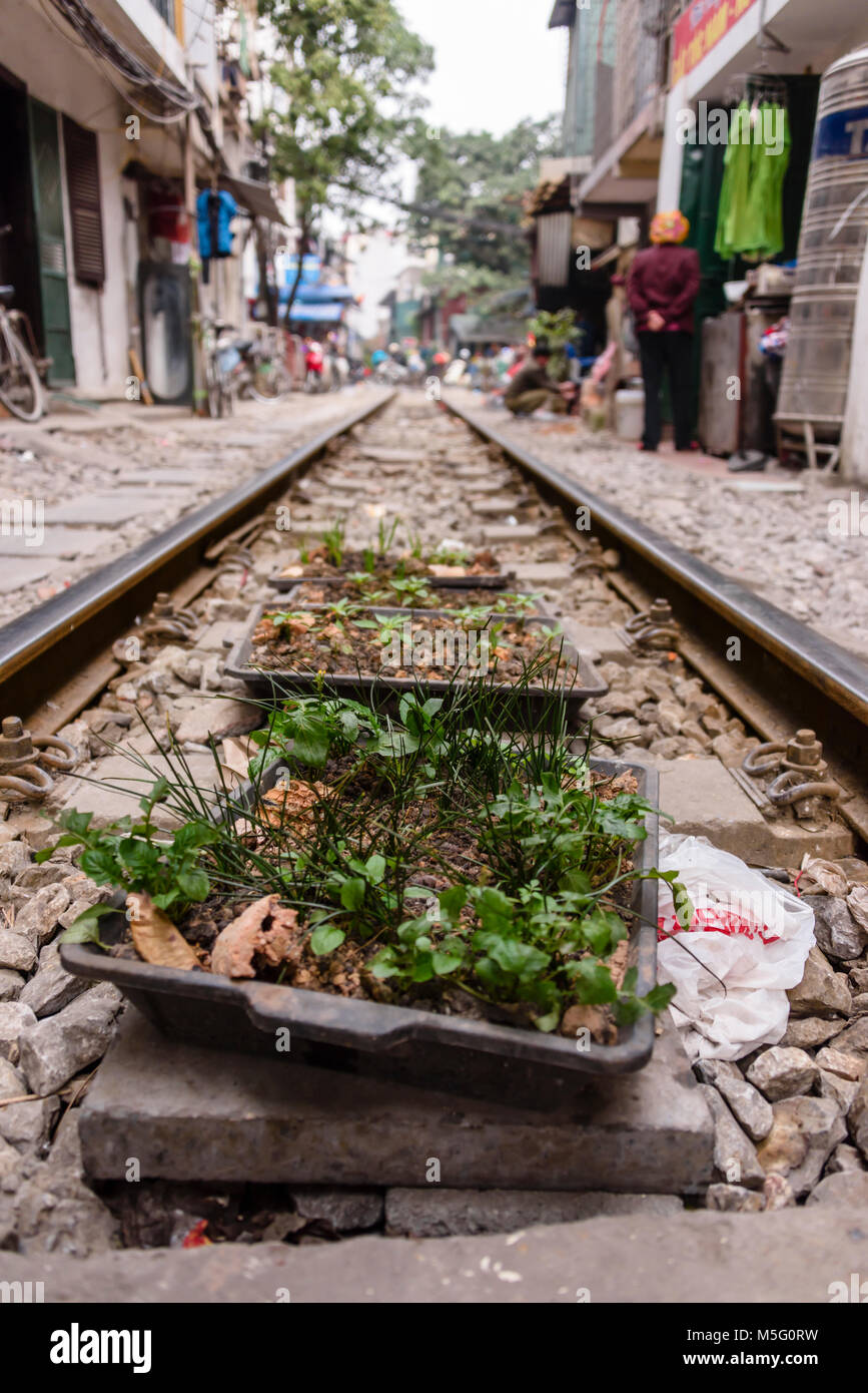 Plants at a railway hi-res stock photography and images - Alamy