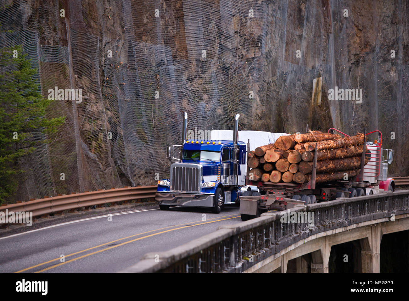 Two different models of classic big rigs semi trucks transporting logs ...
