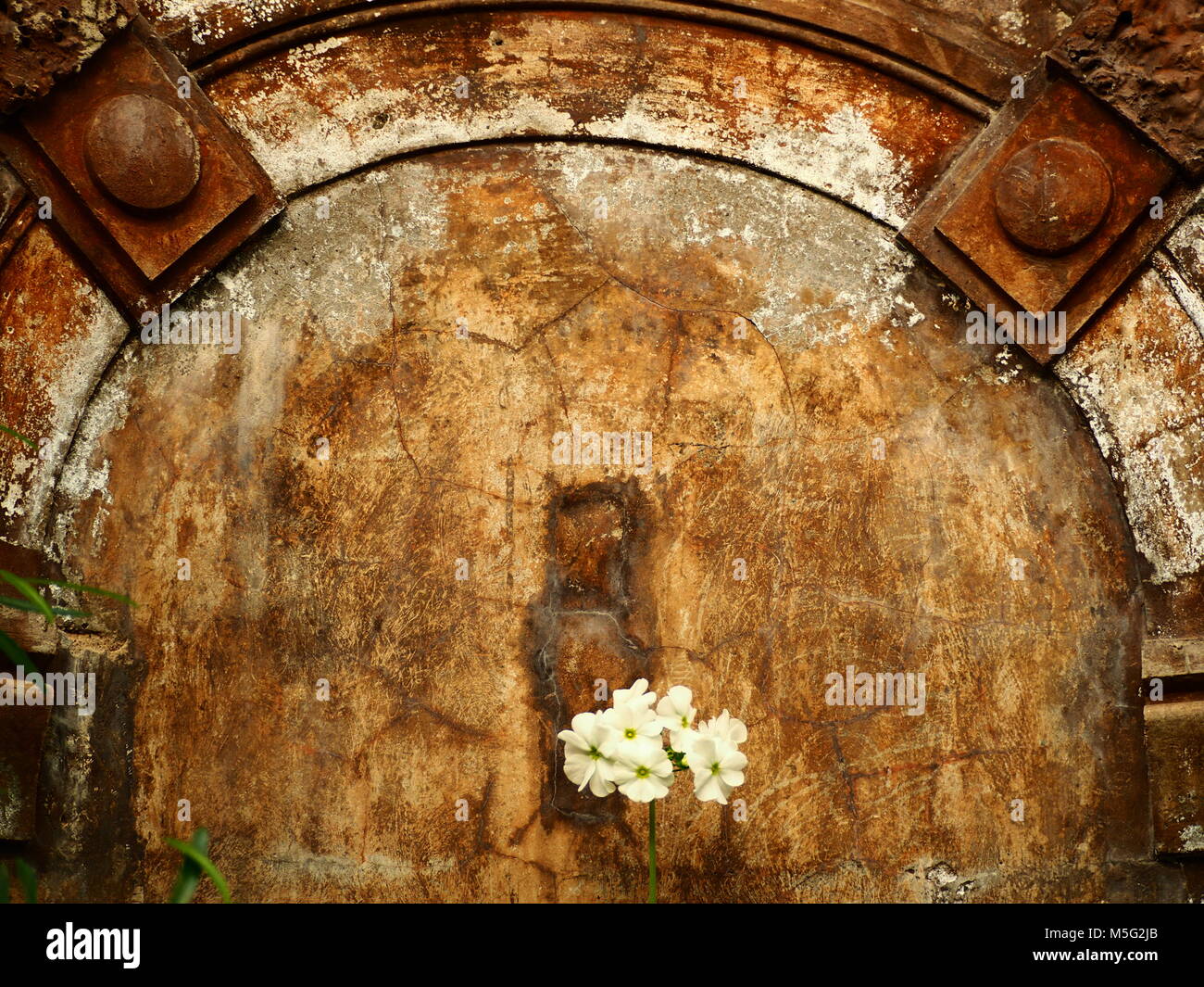 Beautyful old flower hi-res stock photography and images - Alamy