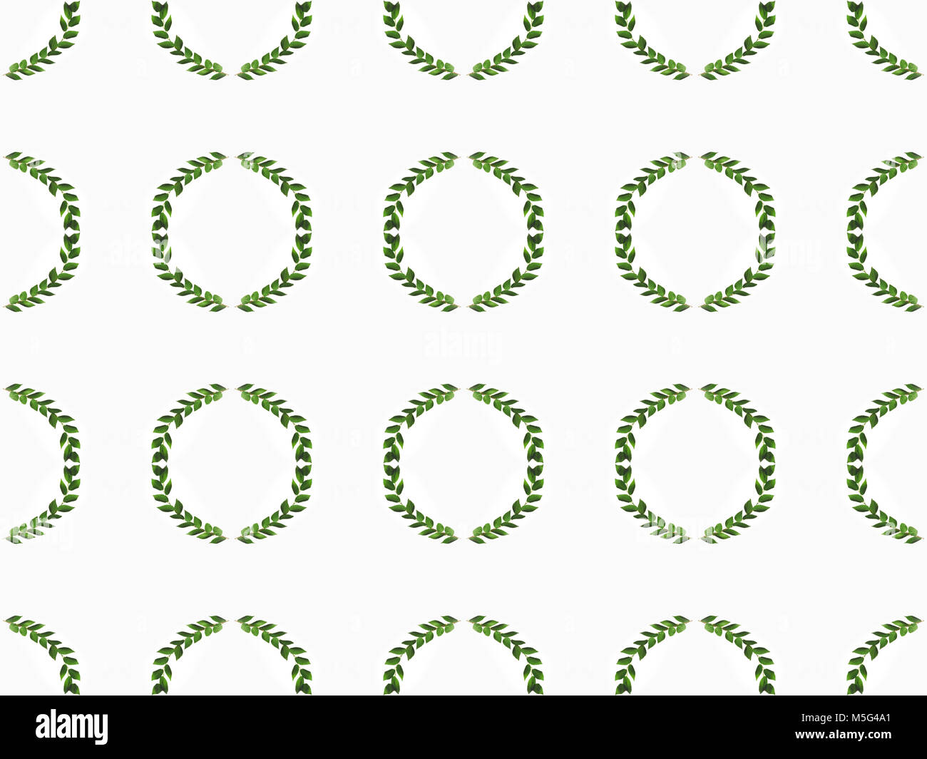 Branches foliage flora greenery Cut Out Stock Images & Pictures - Alamy