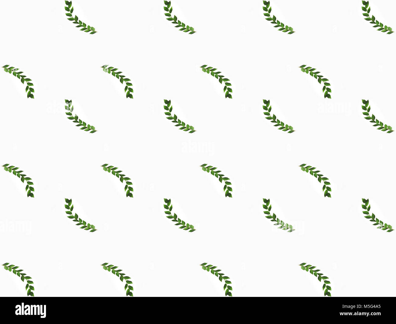 Branches foliage flora greenery Cut Out Stock Images & Pictures - Alamy