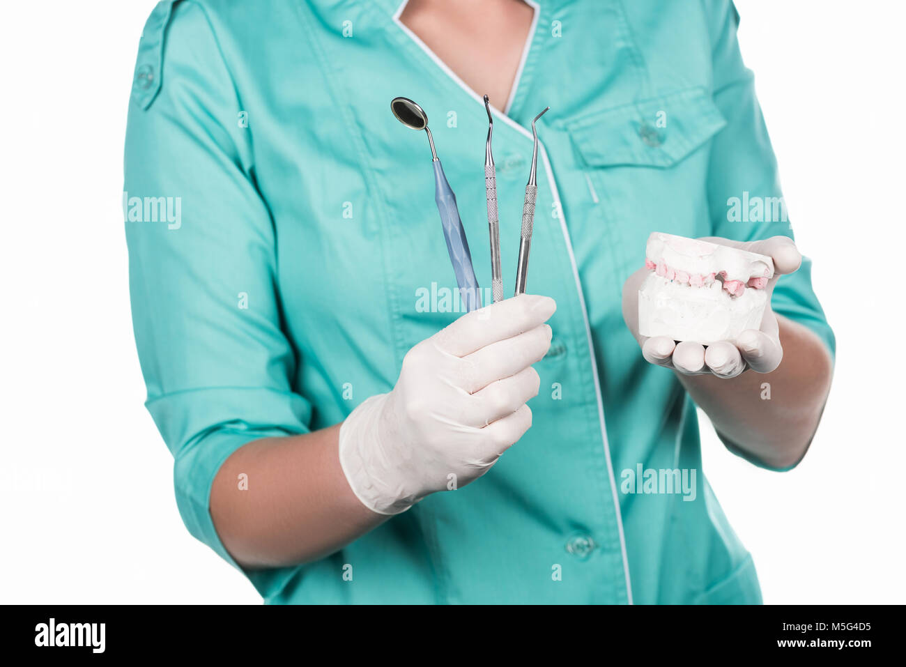 professional dentist with tools and jaw Stock Photo - Alamy