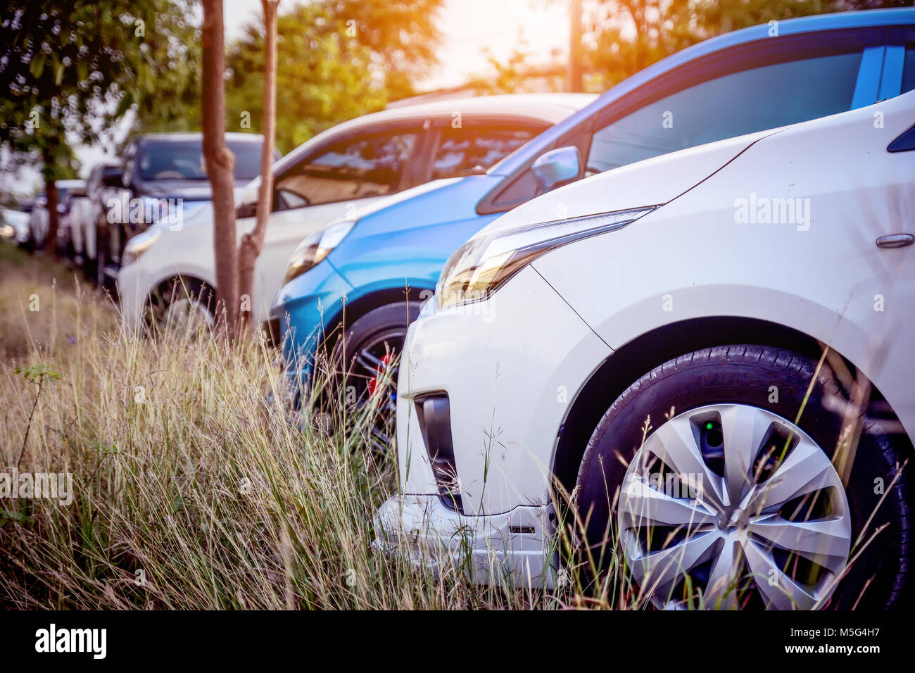 Car parked on street,Car on road with nature and sunlight Stock Photo ...