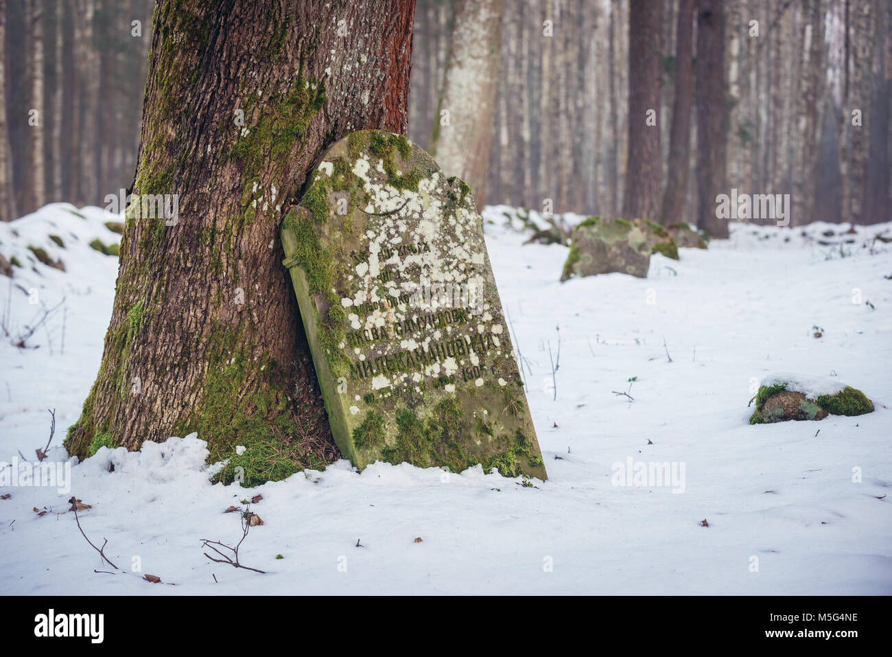 Muslim cemetery in Kruszyniany village, former Polish Tatars settlement ...