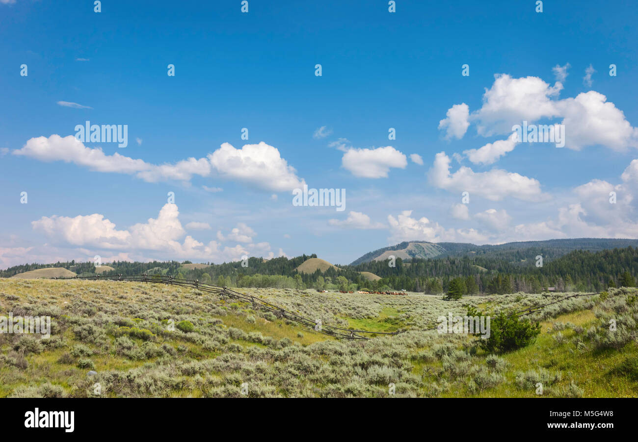 Jackson, Wyoming, USA. The prairie with sagebrush, a wooden fence and ...