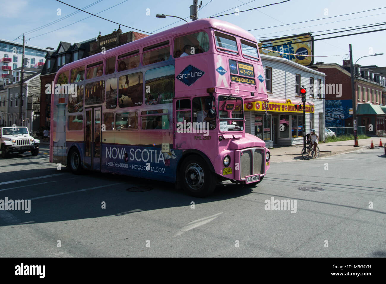 Pink double decker bus Halifax Nova Scotia Canada Stock Photo - Alamy