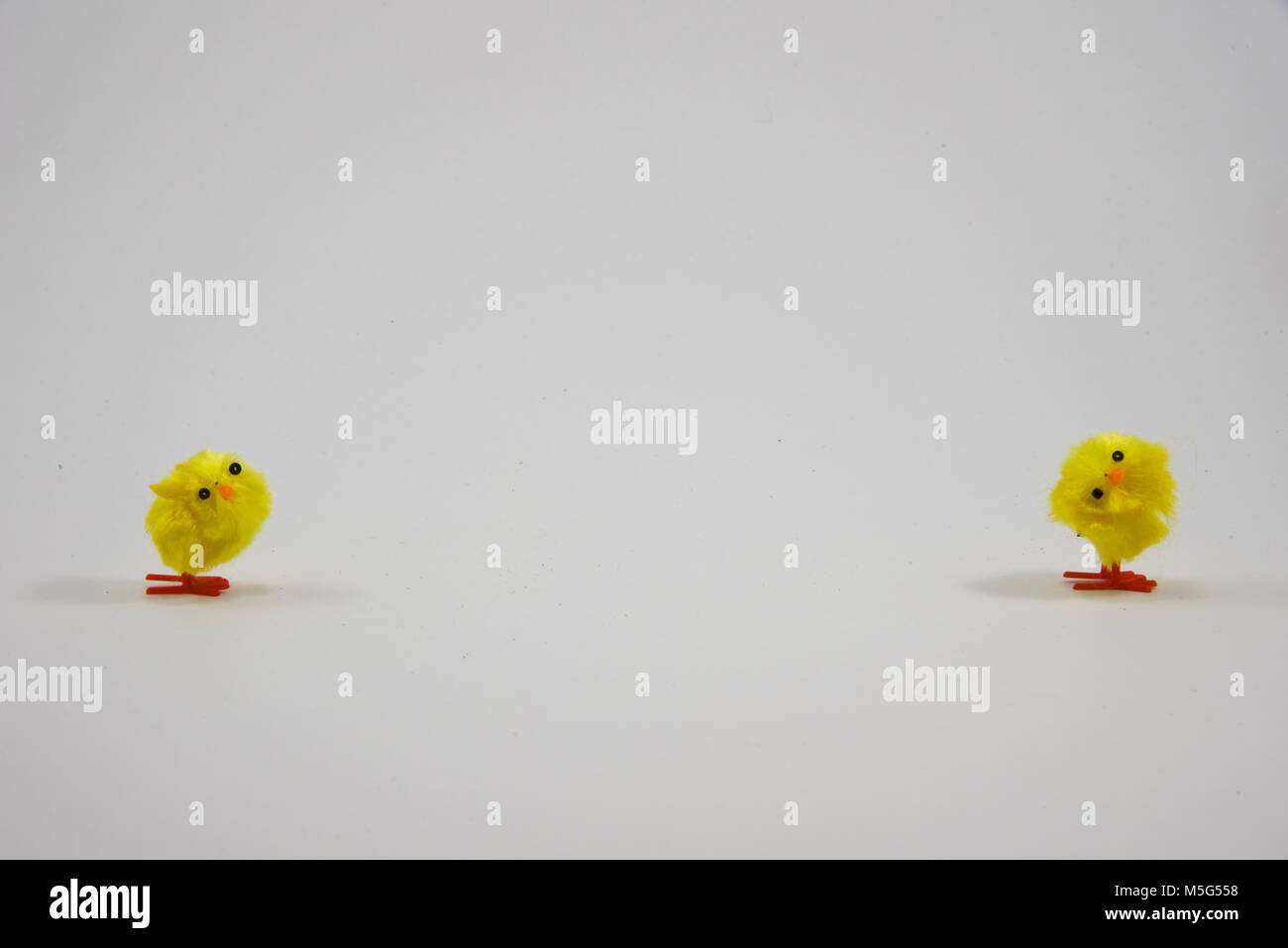 Two little Easter chicks greeting card Stock Photo - Alamy