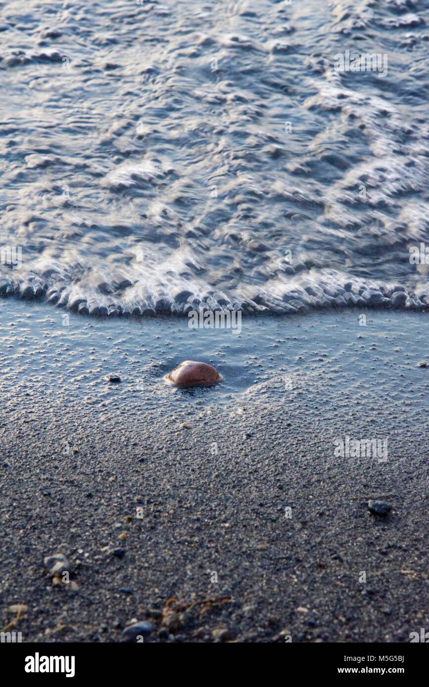 Stone on sand shore Stock Photo - Alamy