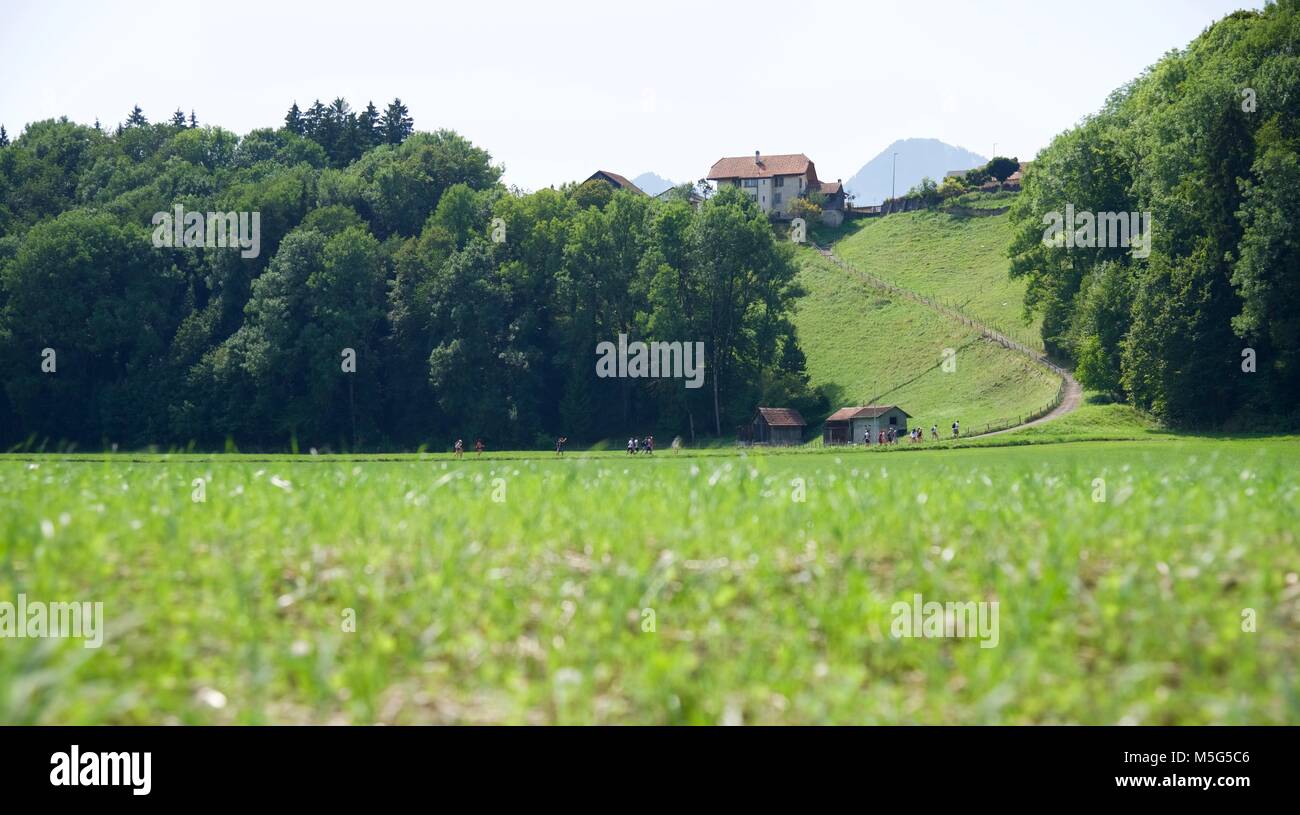 Alpine excursion destination hi-res stock photography and images - Alamy