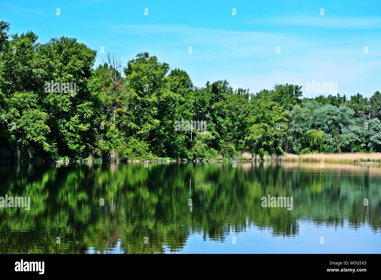 National Park Lobau - Donauauen near Vienna, Austria Stock Photo - Alamy