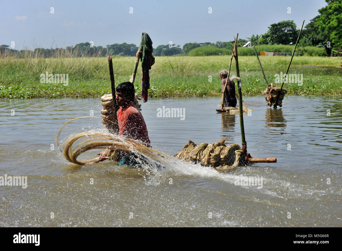 Bangladeshi pond hi-res stock photography and images - Alamy