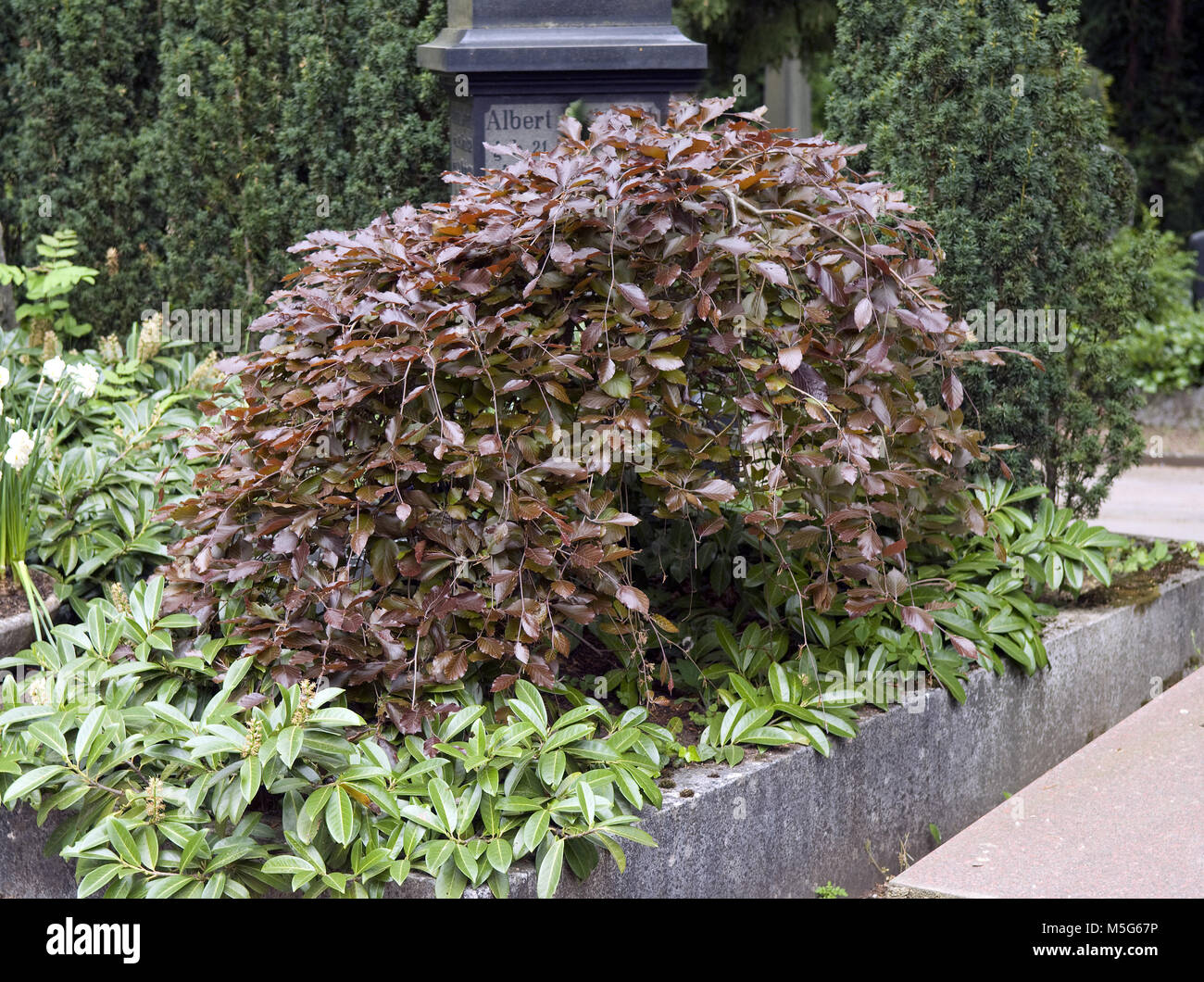 Grave design, grave stone Stock Photo - Alamy