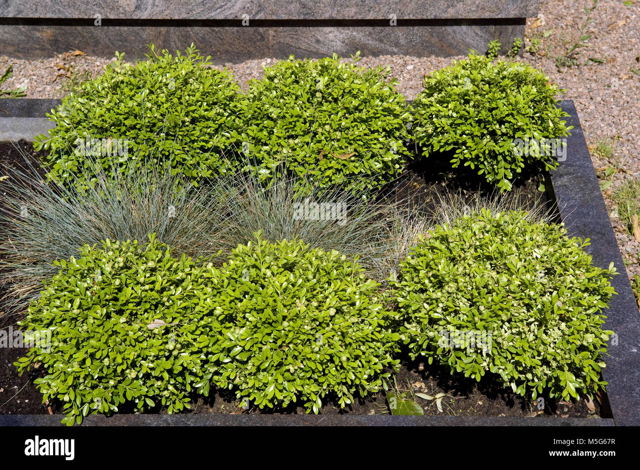 Grave design, grave stone Stock Photo - Alamy
