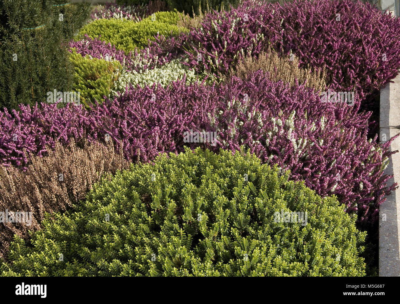 Grave design, grave stone Stock Photo - Alamy