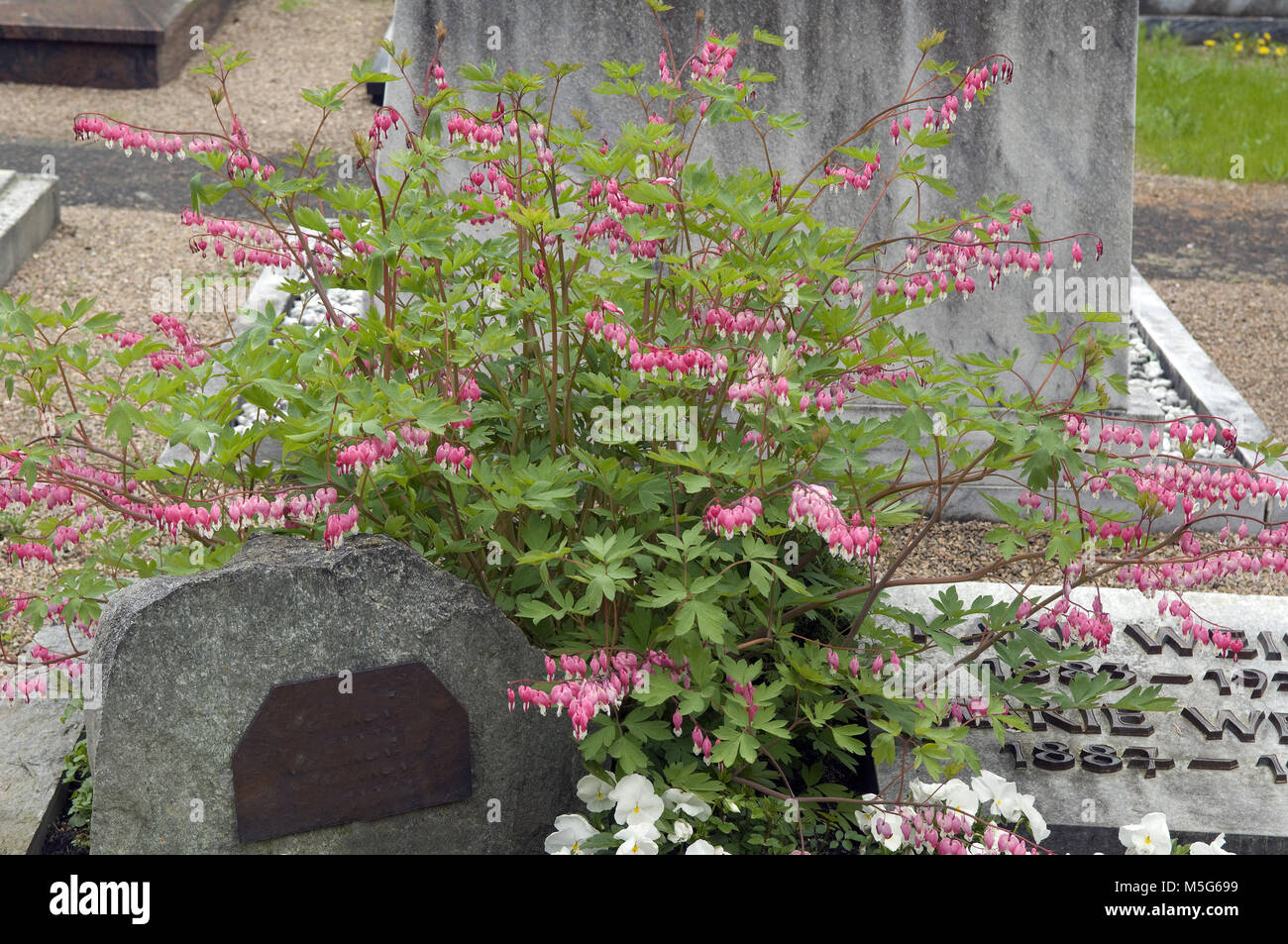 Grave design, grave stone Stock Photo - Alamy