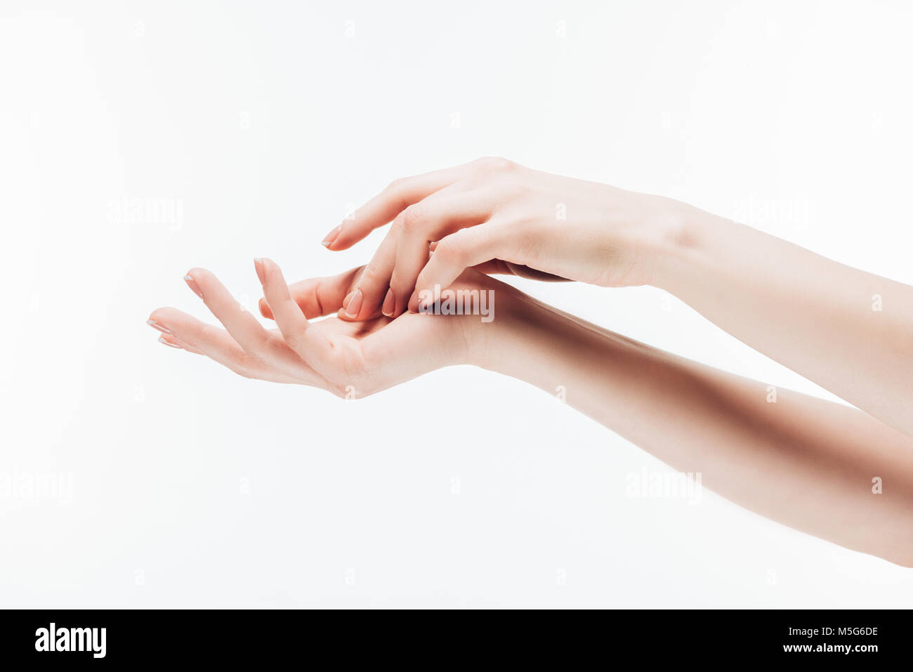 cropped shot of female hands with perfect skin isolated on white Stock ...